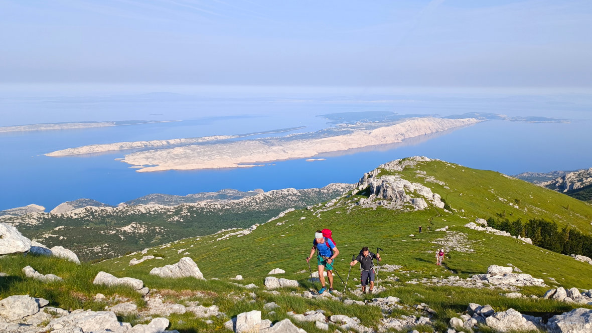 Prečenje severnega in osrednjega Velebita - Edlothia